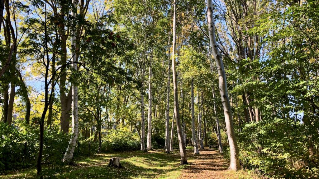 JRヘルシーウォーキング2025始まる！ 〜4月19日から11月9日まで28回のイベントウォークといつでもウォーキング30コース〜 | ぶらっと